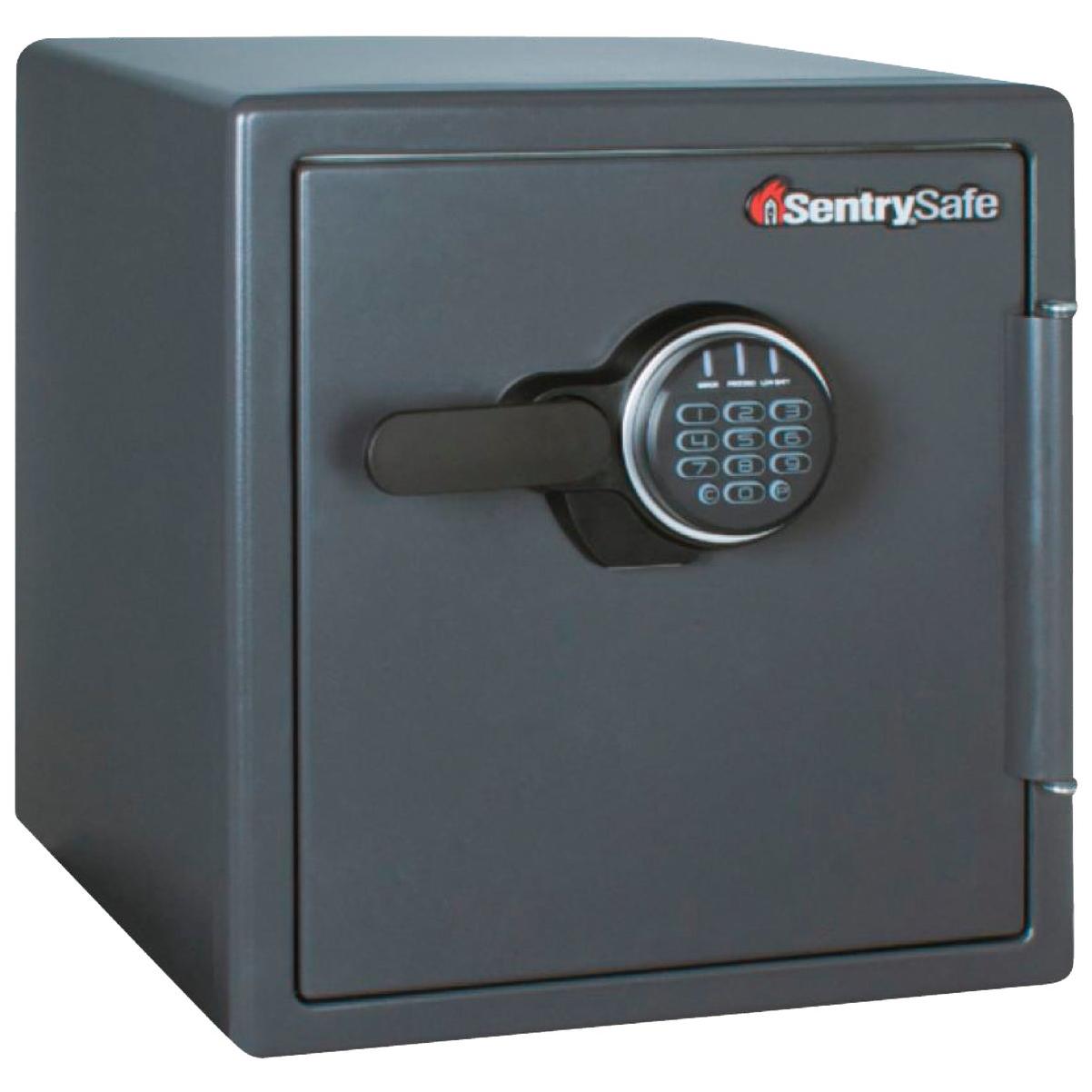 Sentry Safe 1.23 Cu. Ft. Capacity Combination Fire-Safe Floor Safe | Do ...