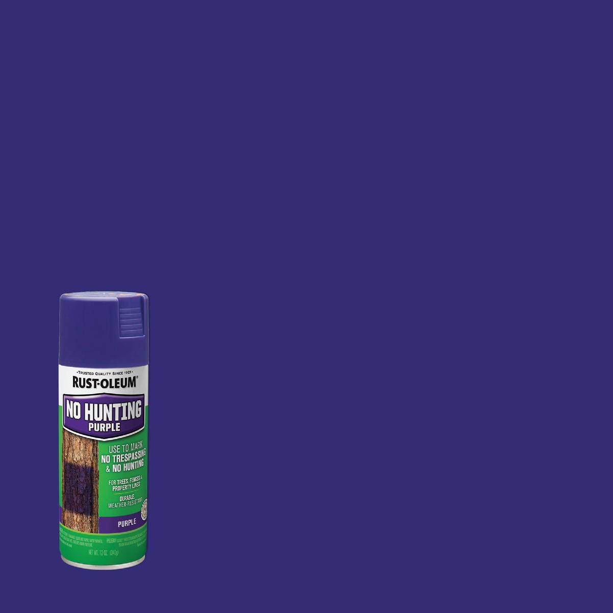 Rust-Oleum No Hunting Purple 12 Oz. Flat Spray Paint, Purple | Sheraton ...