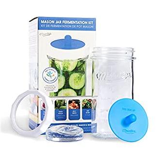 Masontops Wide Mouth Single Mason Jar Fermentation Kit (4-Piece) | Do ...