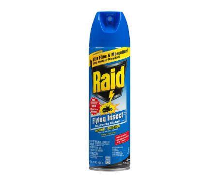Raid 18 Oz. Aerosol Spray Flying Insect Killer | Do it Best Barbados