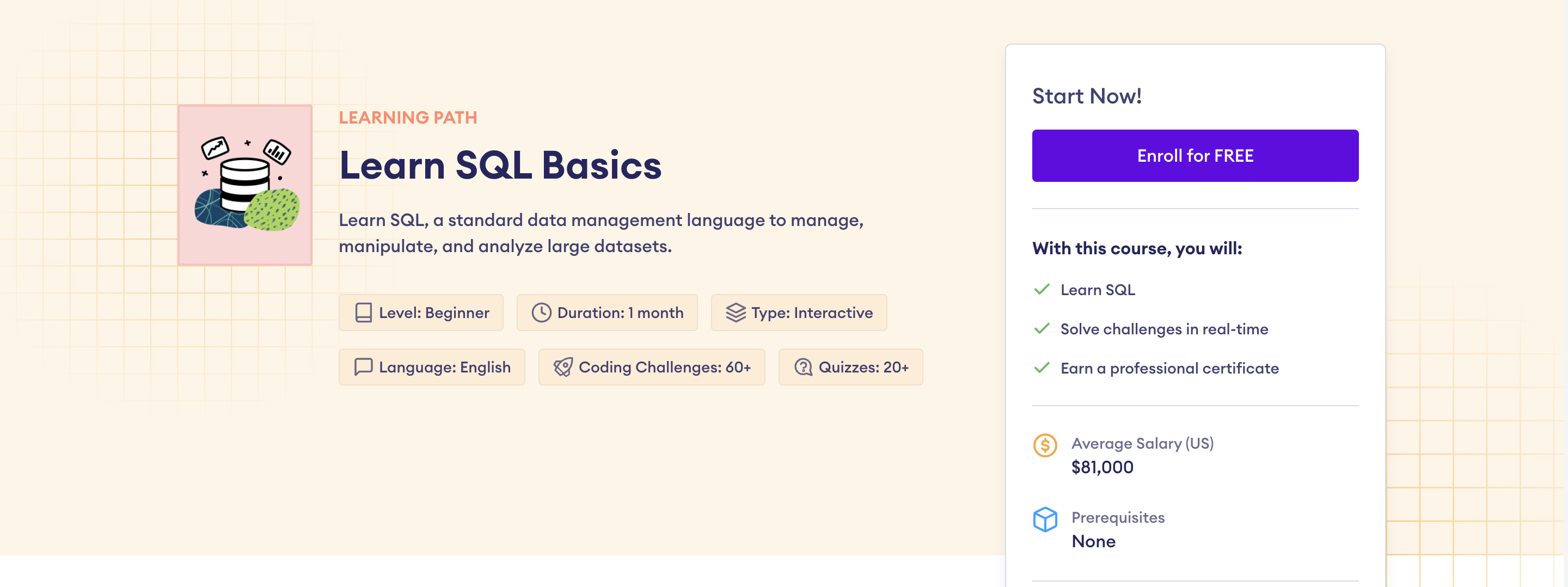 Roadmap to Become a Software Engineer