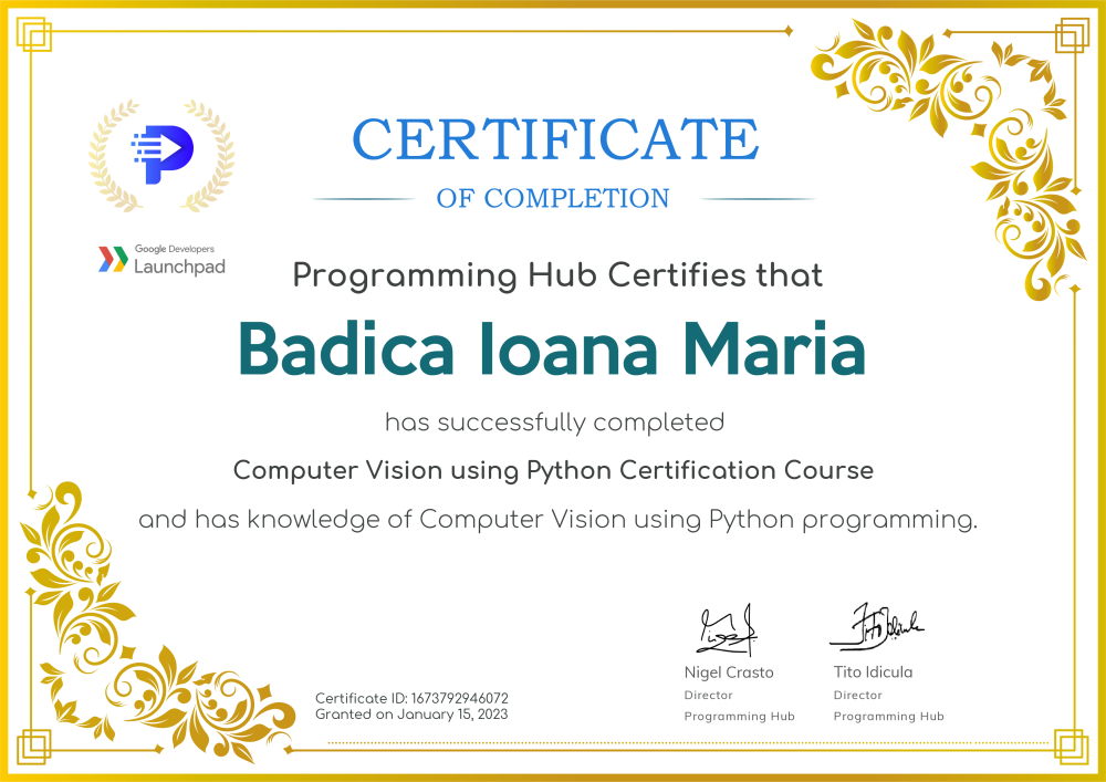 Badica Ioana Maria - College Graduate | LinkedIn