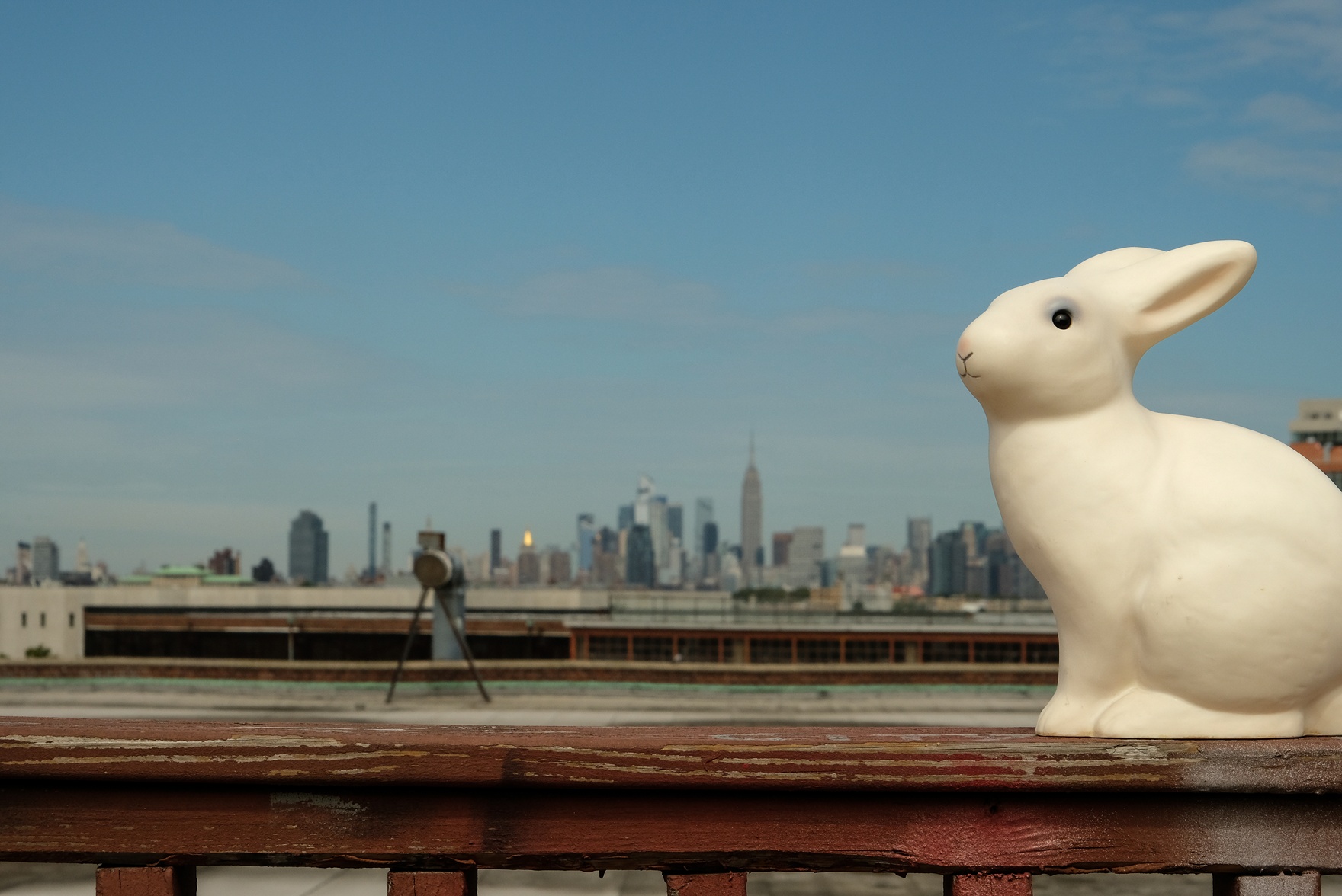 About | Rabbit Props