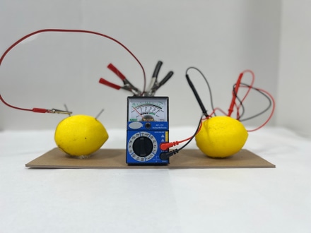 Lemon Battery Science Experiment | For Rent in Los Angeles | Lolli Props