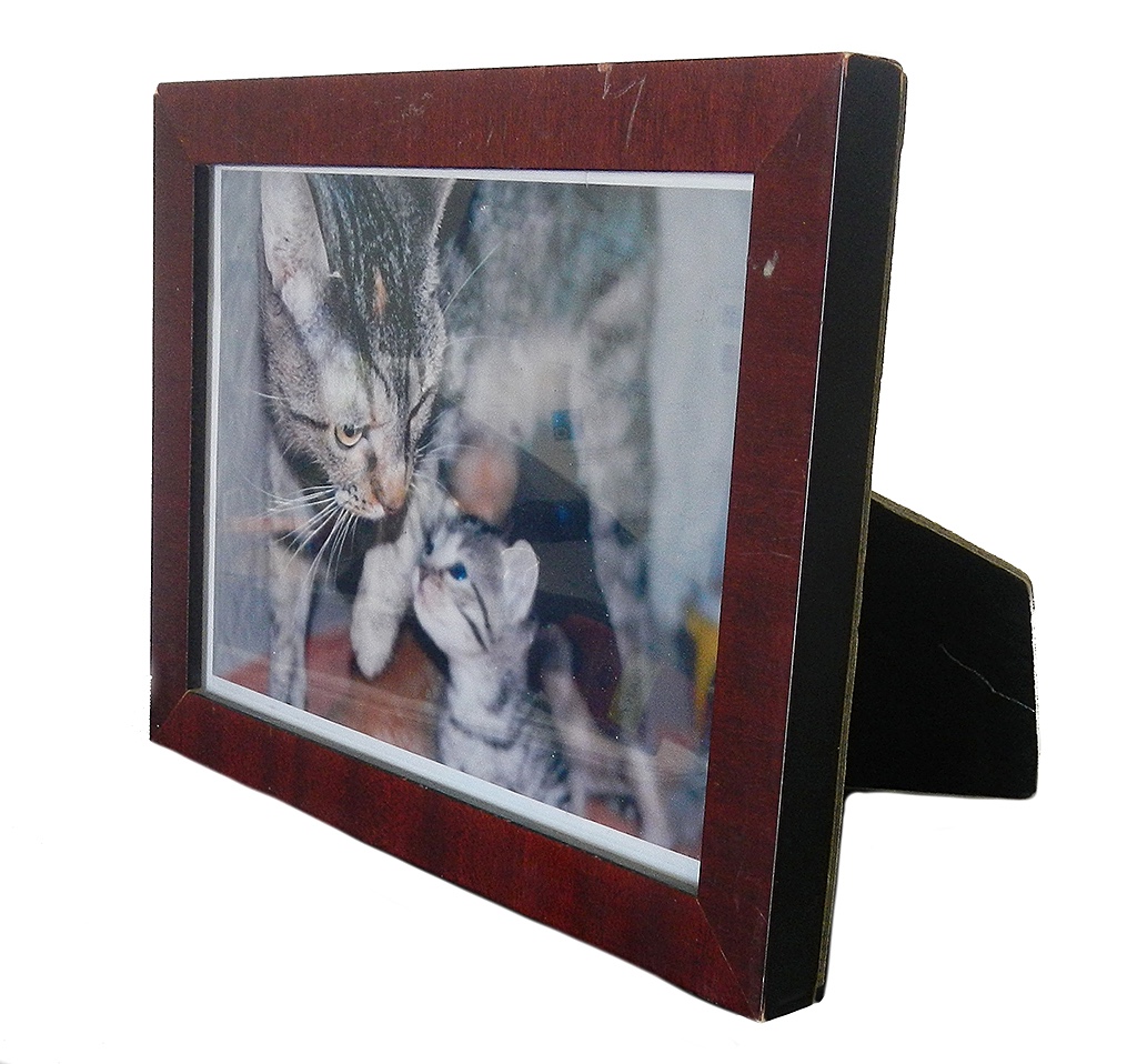 Picture Frame | For Rent in North Hollywood | Pinacoteca Picture Props