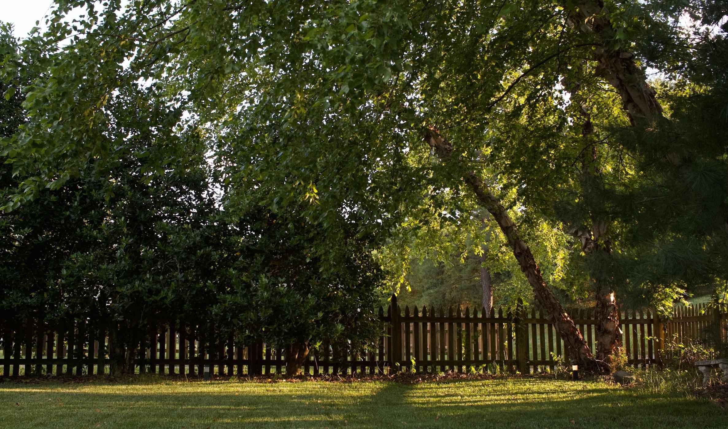 What Is Encroachment in Real Estate? (2024) | PropertyClub