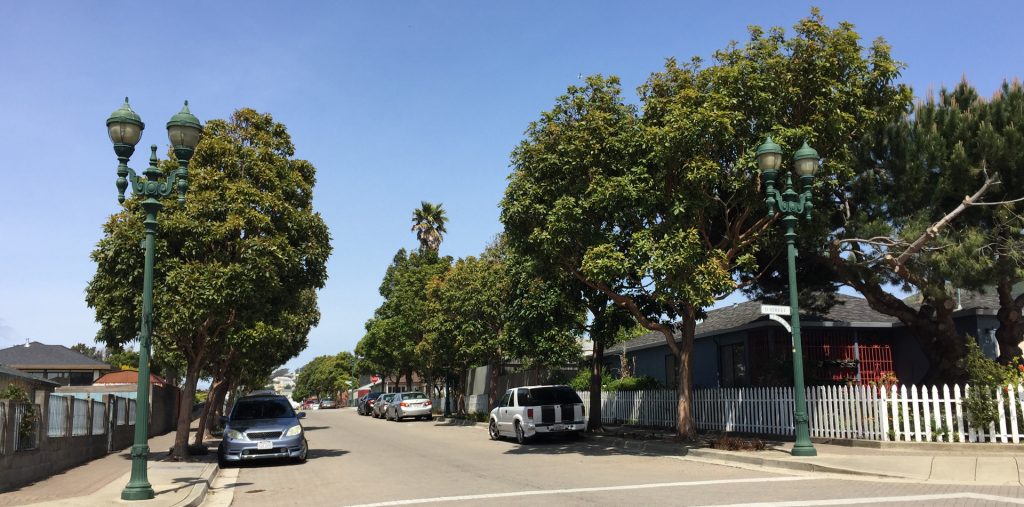 Finance Department - Town of Colma