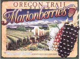 On the Public Record with Ron Holifield, Strategic Government Resources ...