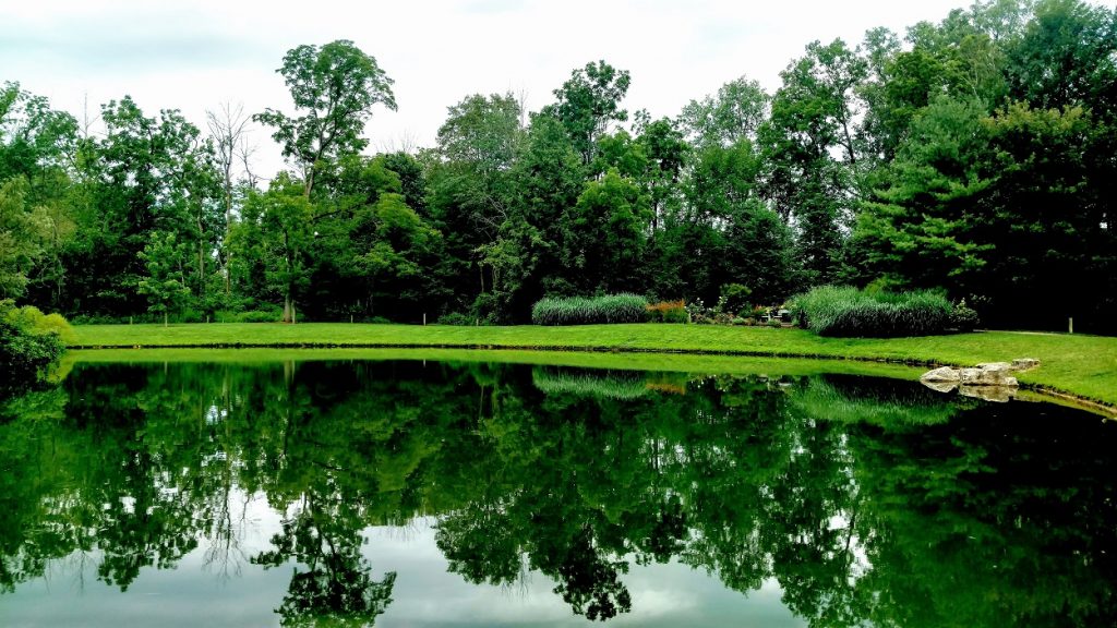 Fishing in Kettering's Parks - Play Kettering