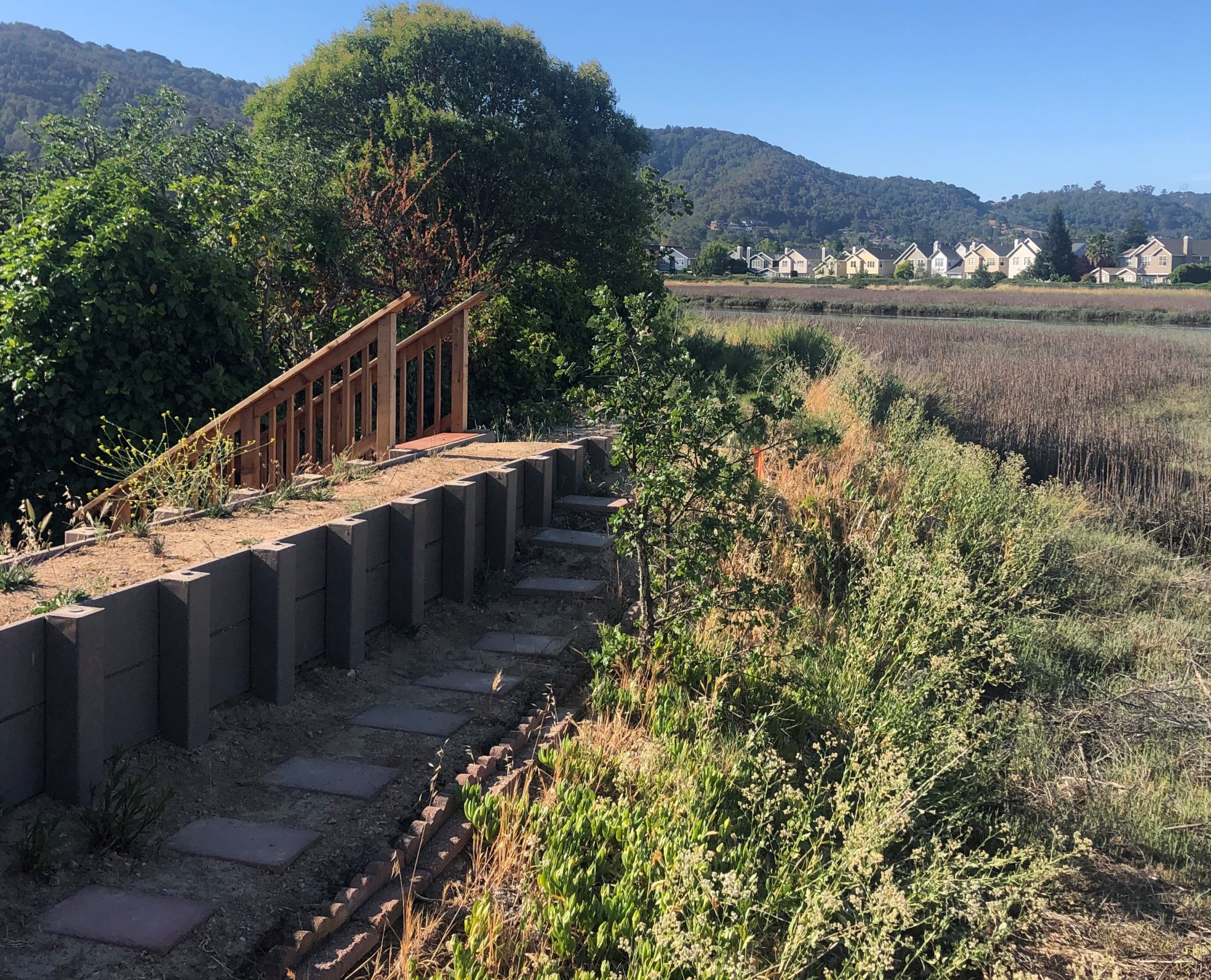 Funding secured for Santa Venetia Levee System - Marin County Flood ...