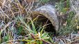 Driveway culvert maintenance, who's responsibility is it? - Marin ...
