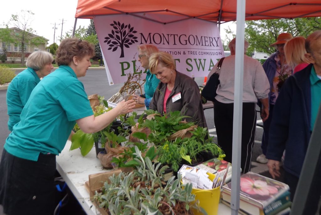 Spring Plant Swap - Montgomery, Ohio