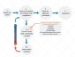 Permit Processing Flow Chart - Ruston