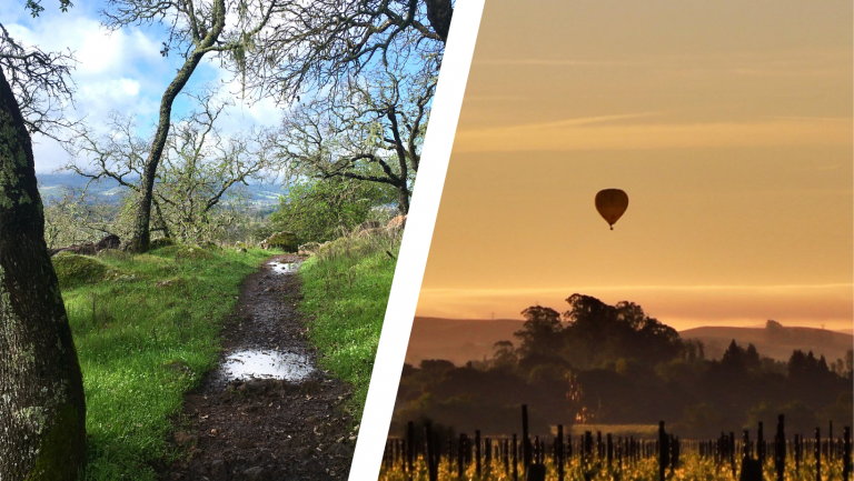 Photo Contest Winners Facebook Landscape City Of Sonoma