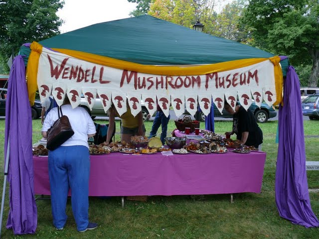 Community - Wendell, MA