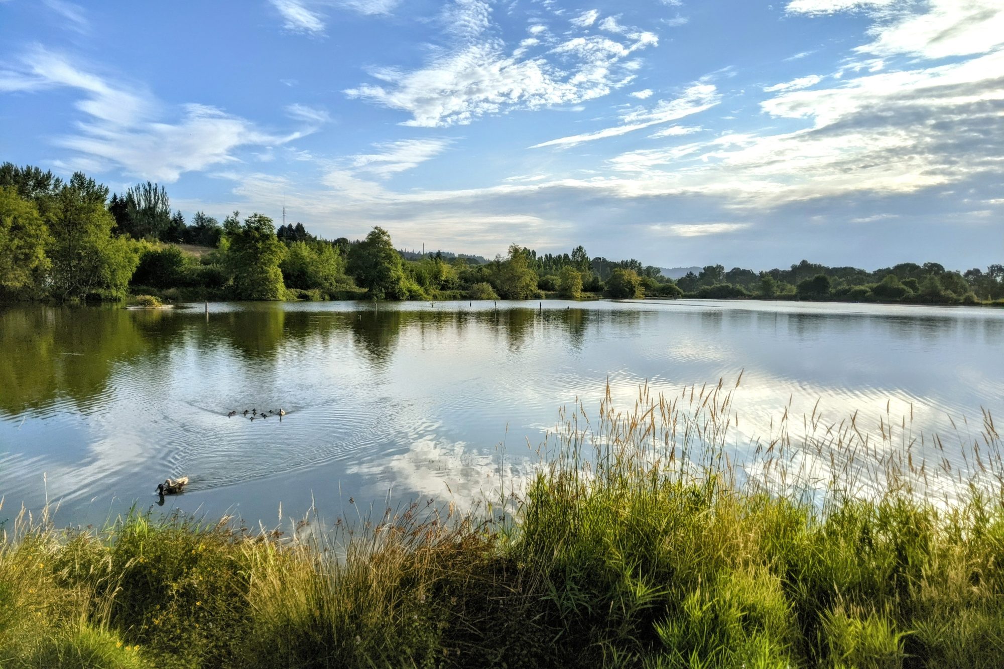Welcome - Willamina, OR