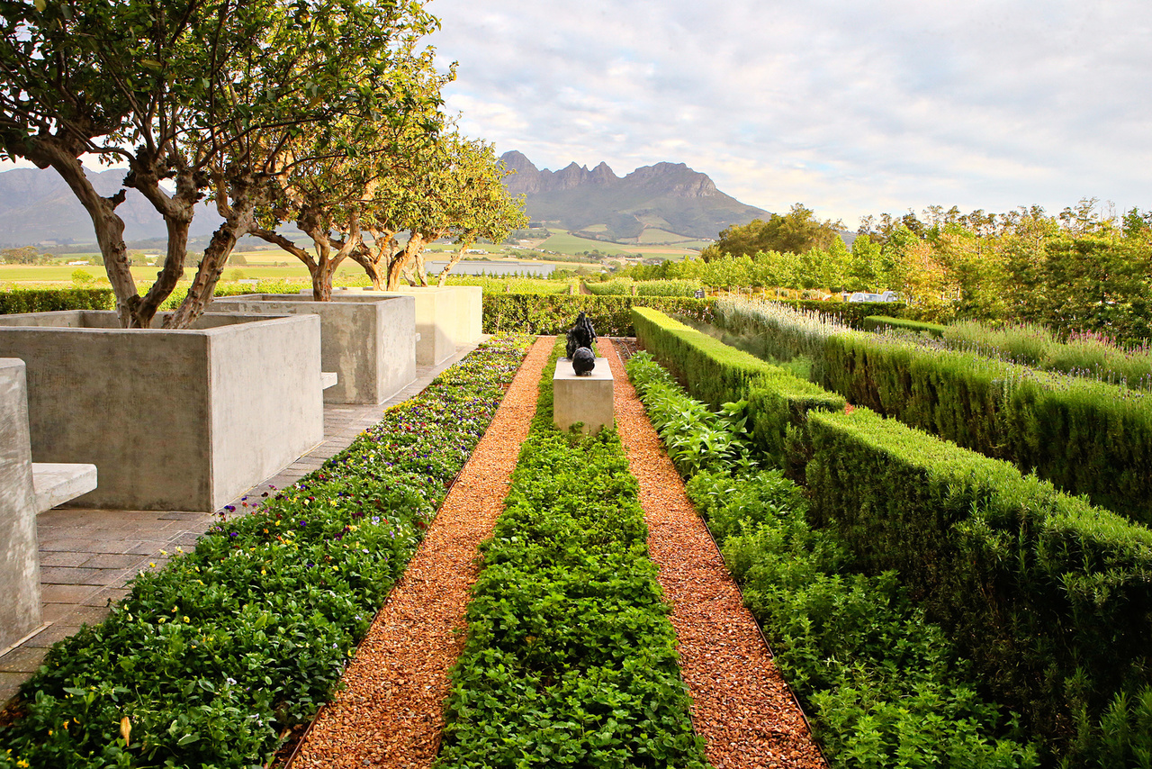 Cavalli Restaurant - Stellenbosch | Diningcity.co.za