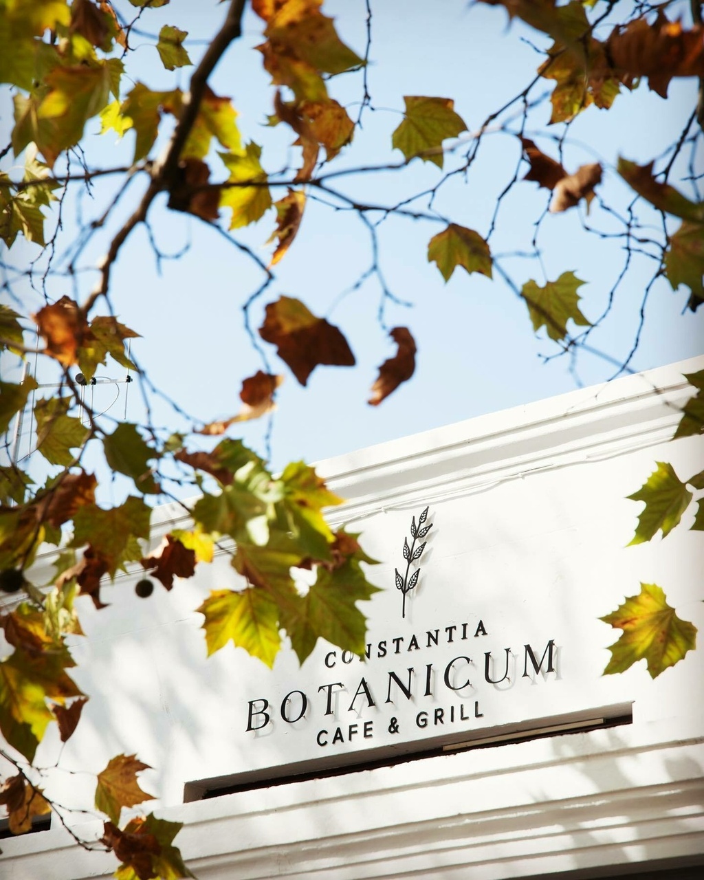 Botanicum Café & Grill Constantia - Cape Town | Diningcity.co.za