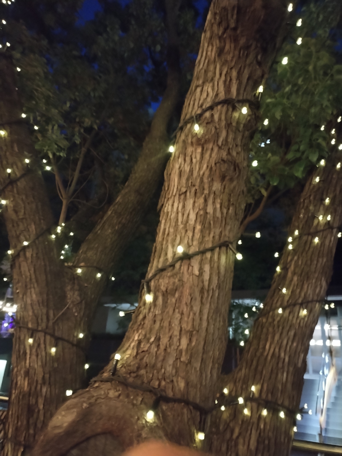 The Rock Hazelwood - Pretoria | Restaurant Week