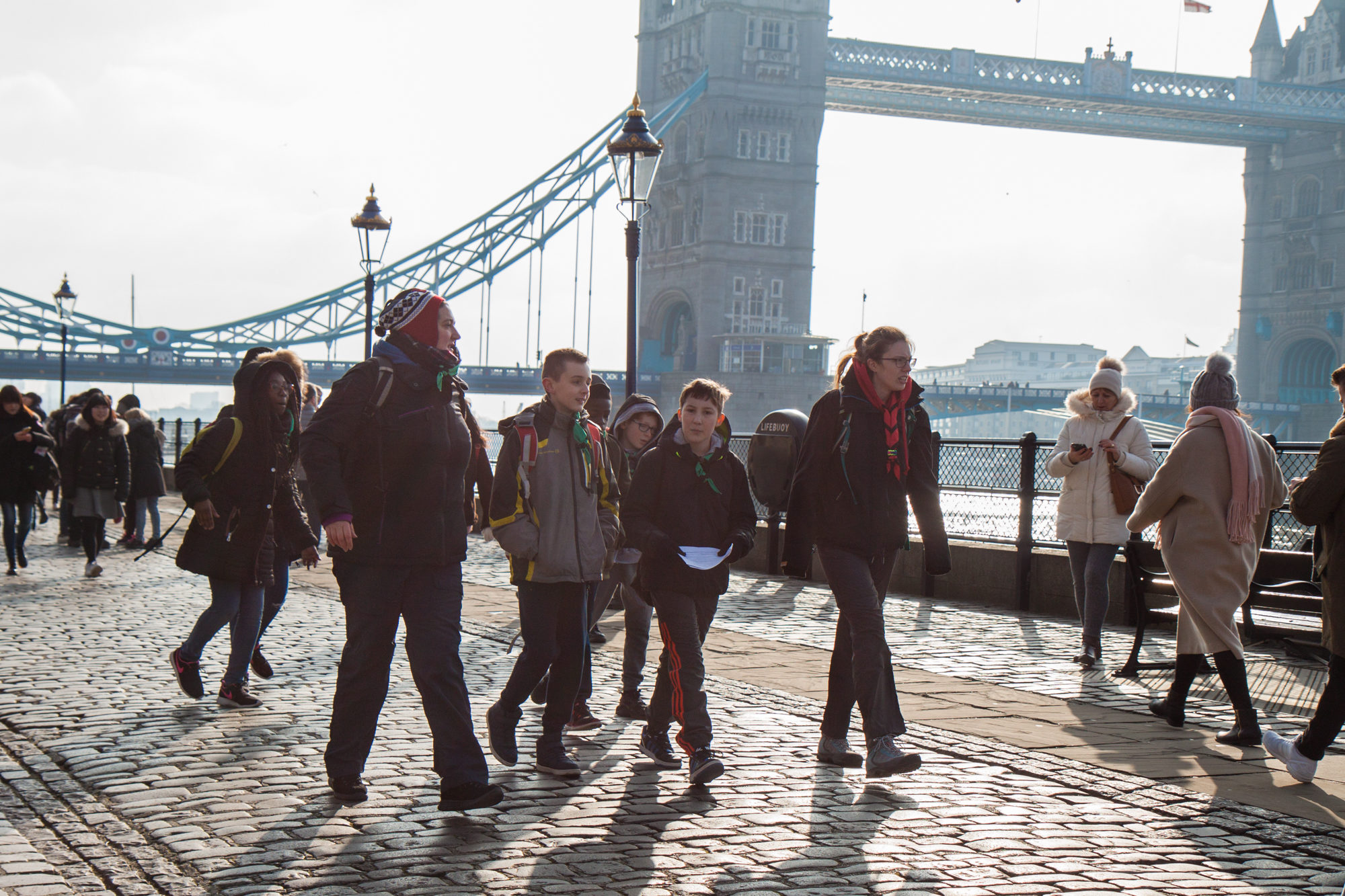 Thurrock Scouts » Thurrock Scouts and Guides take on joint DCs Challenge