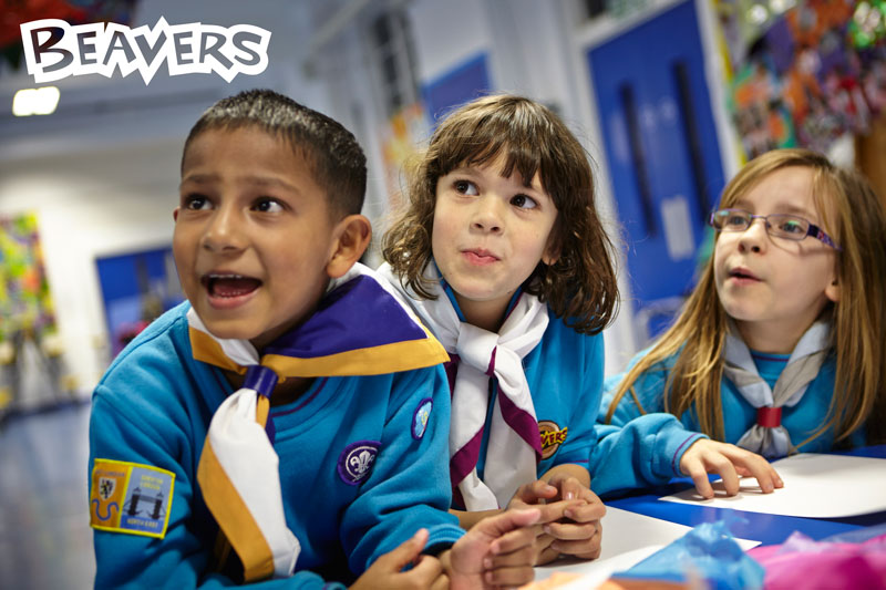 Thurrock Scouts » Beaver Scouts