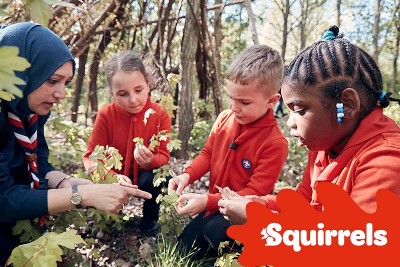 Thurrock Scouts » Squirrel Scouts