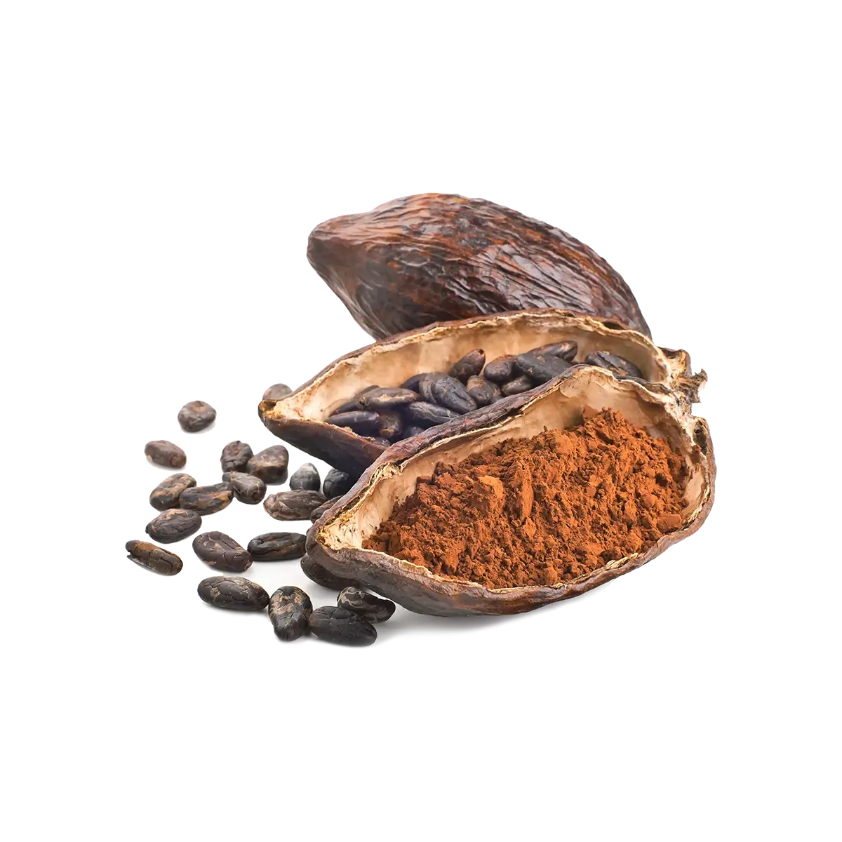 Cocoa - Indesso