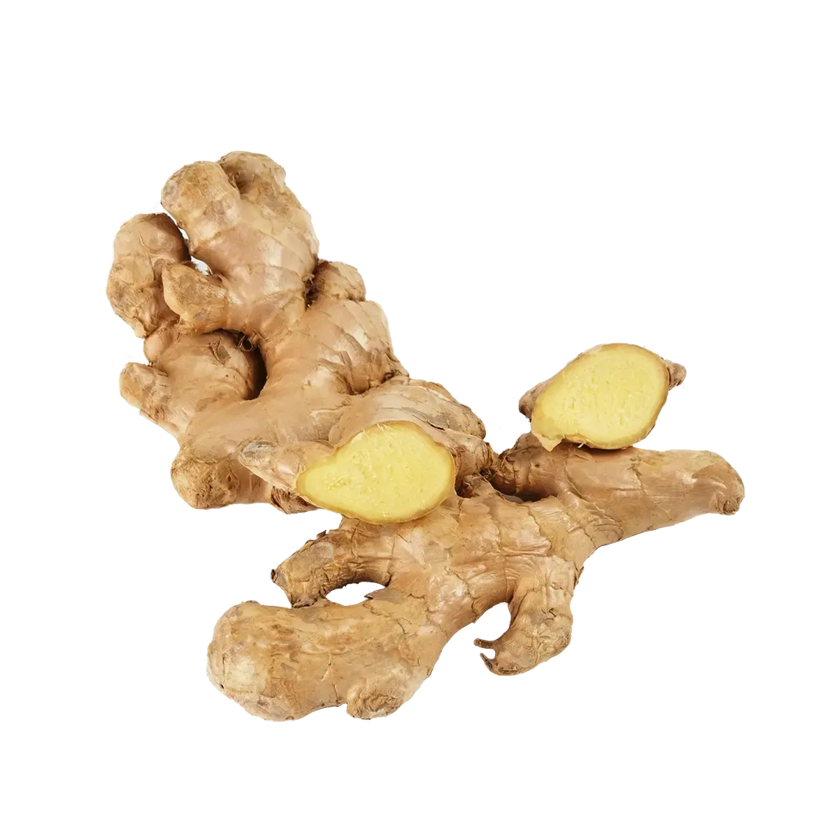 Ginger - Indesso