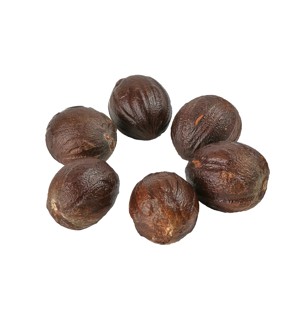 Nutmeg - Indesso
