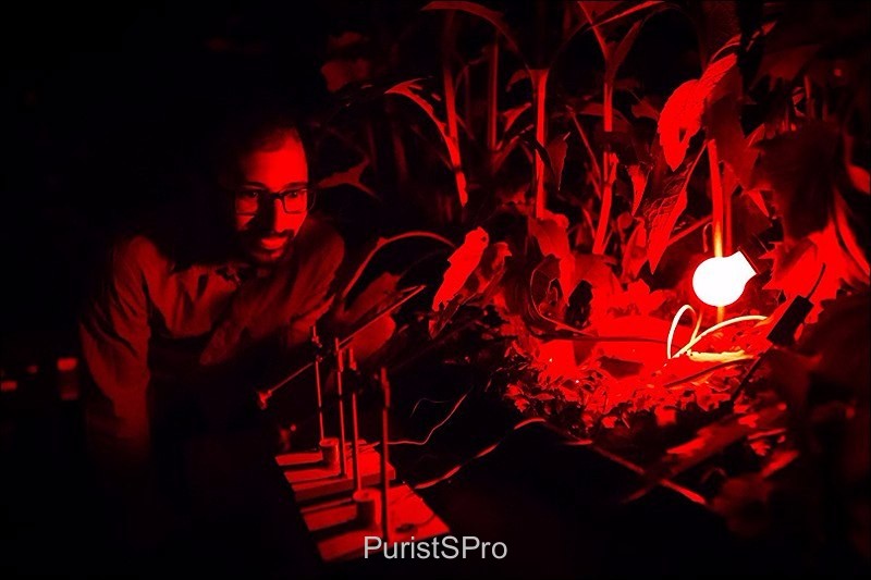 Audemars Piguet - Audemars Piguet Art Basel 2015 "Synchronicity" by Robin Meier