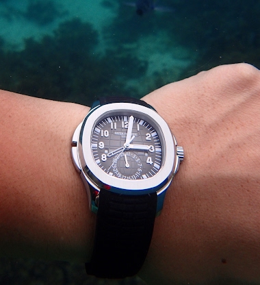 Audemars Piguet - It's also my pet peeve for AP pieces...