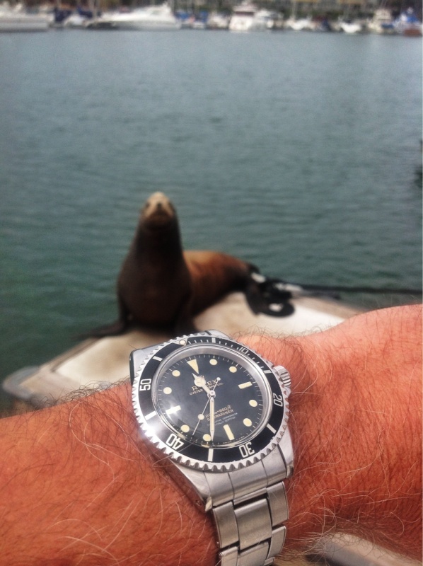 Rolex - Rolex ocean motion gilt 5512 4 line and friends.
