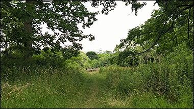 Photography - Council please approach the bench....