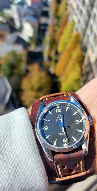 Omega - Legend of the fall