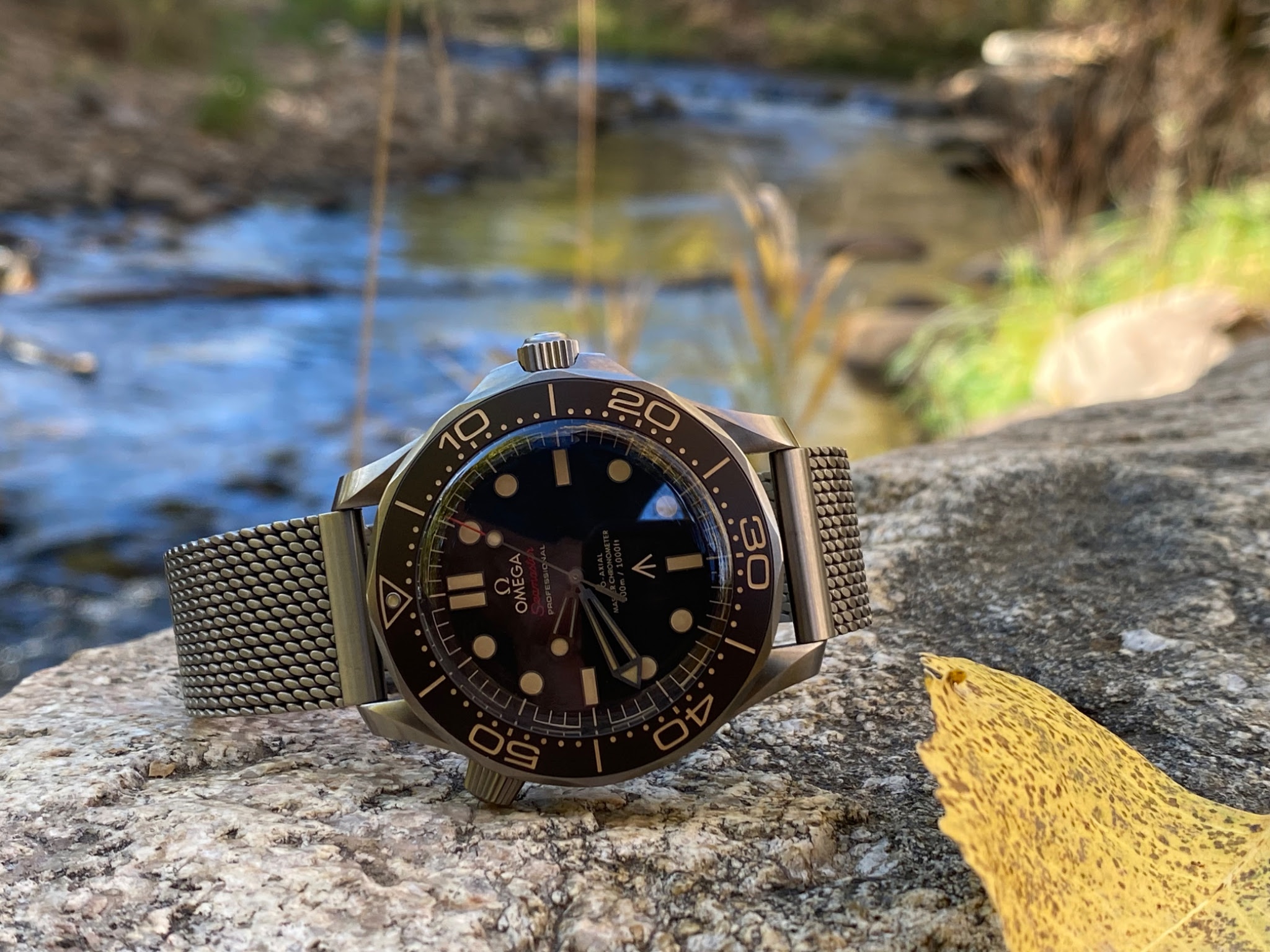 Omega - NTTD fall colors!