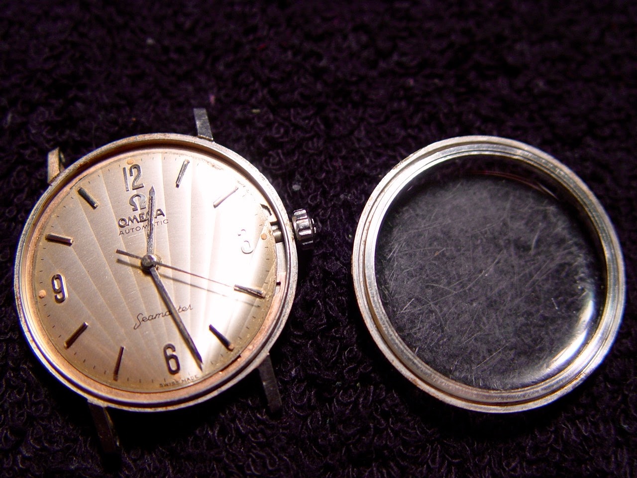 Omega - Omega Sea Shell