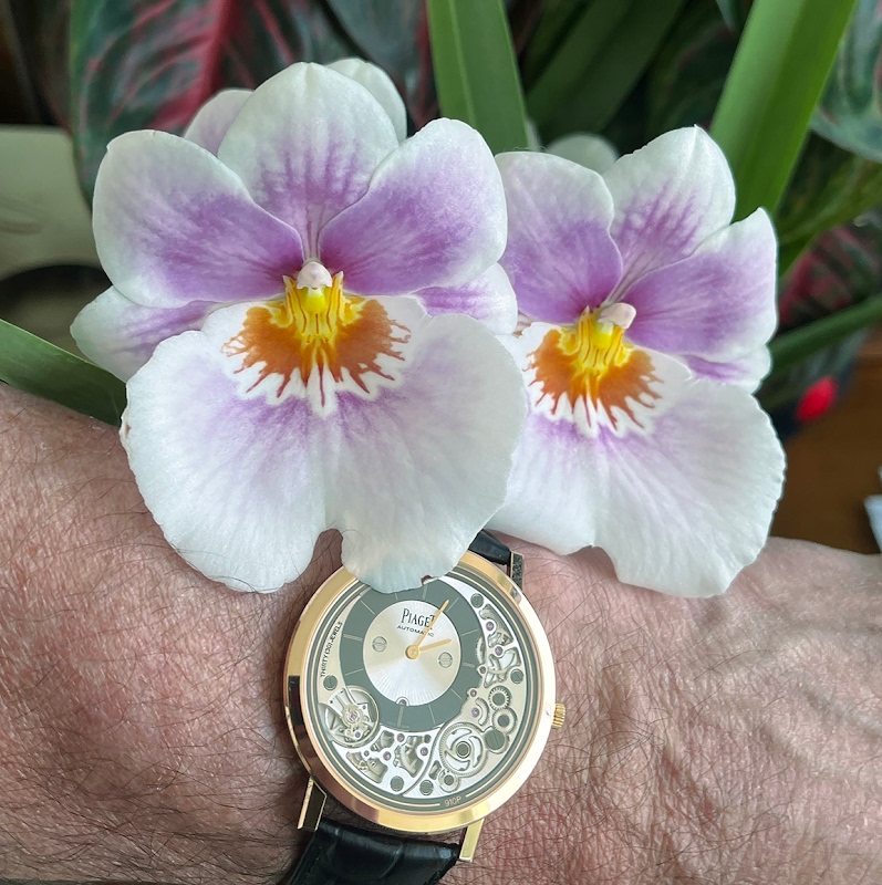 Piaget - Art & Nature #8