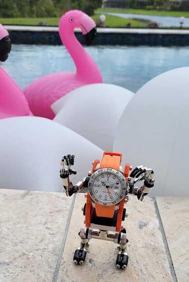 Rolex - Robotoys Fun With Rolex Polar