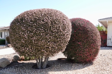 TimeOut - Walking with the Car