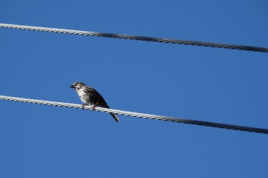 TimeOut - Plenty of Hits and Misses Today