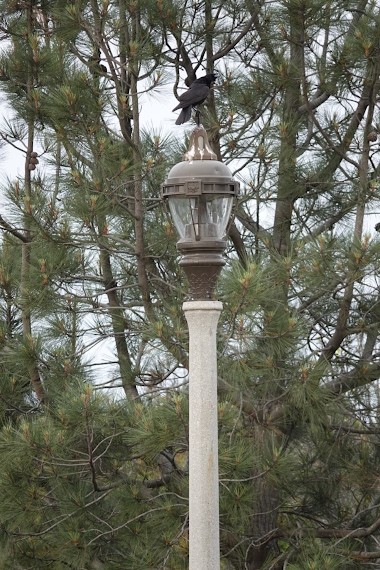 TimeOut - Land Sea & Air, Part 2