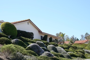 TimeOut - Walking with the Car