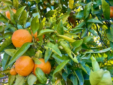 TimeOut - Orange you glad I'm a morning person? Part 1