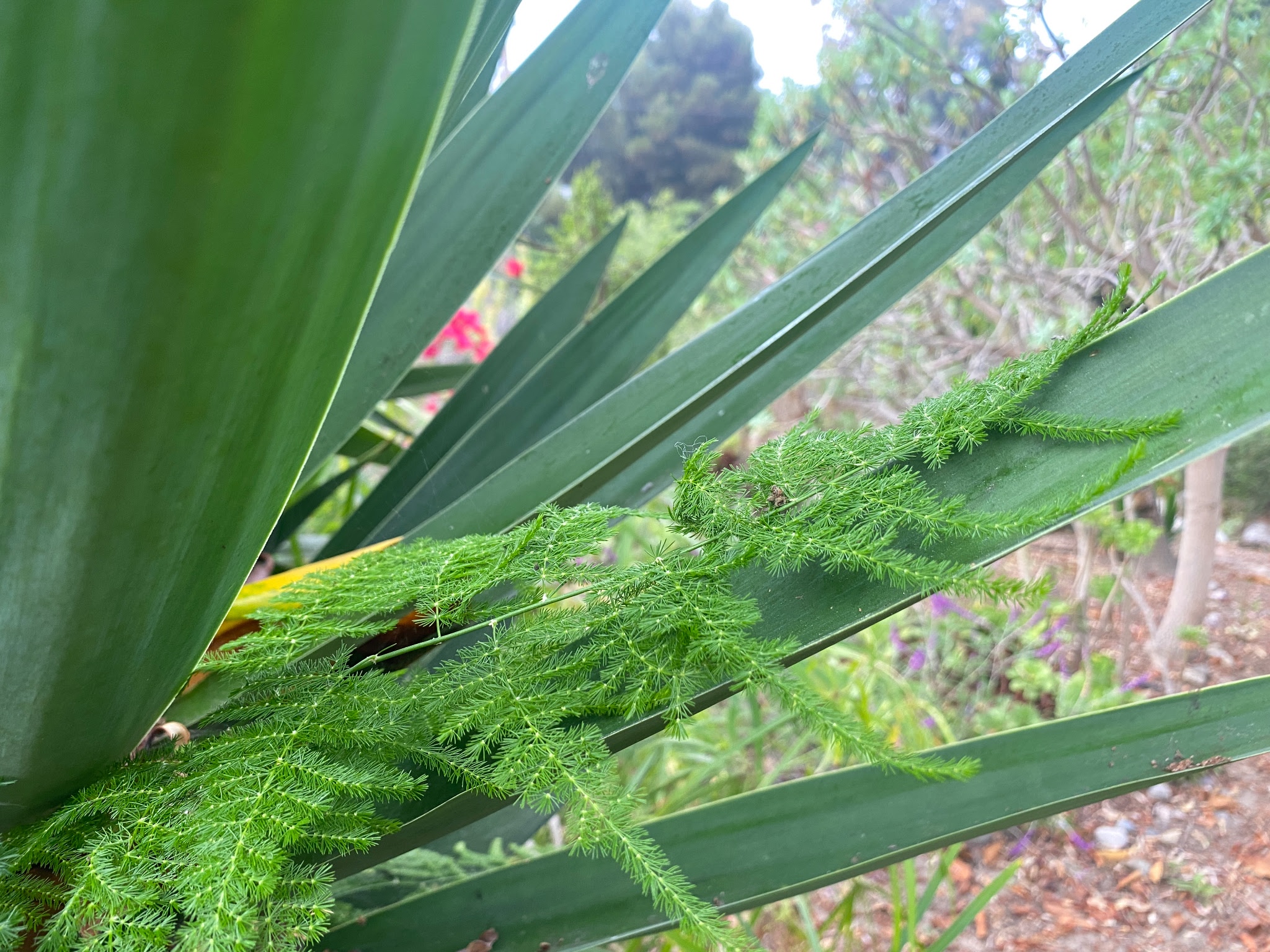 TimeOut - A short damp walk in the Lower 40