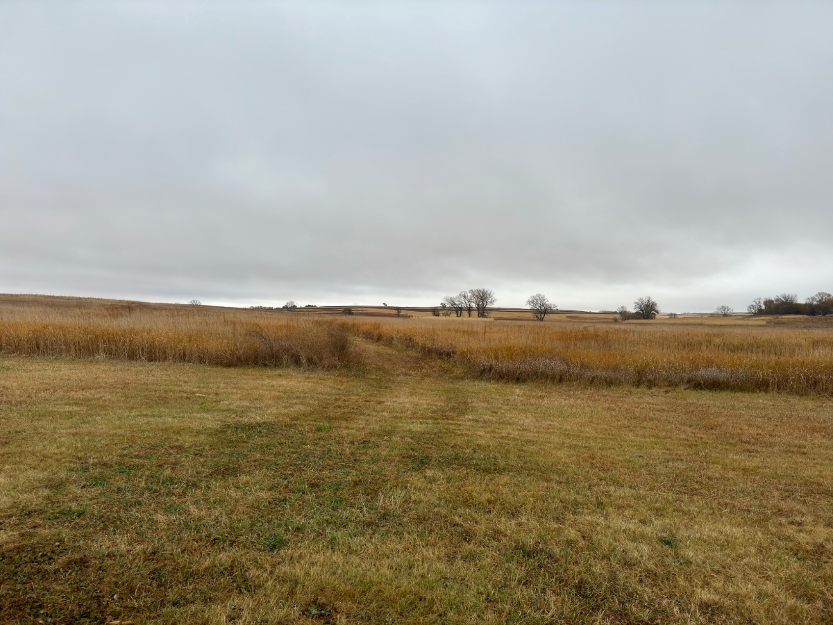 Photography - Prairies and Grasslands—Iowa