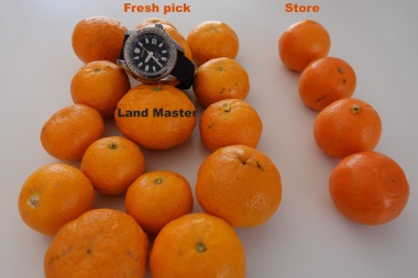 TimeOut - Orange you glad I'm a morning person? Part 1