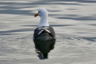 TimeOut - Out and About Again, Part 2