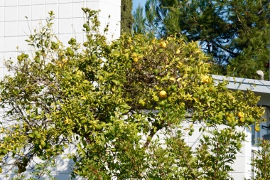 TimeOut - Cruising the ‘Hoods, Part 3