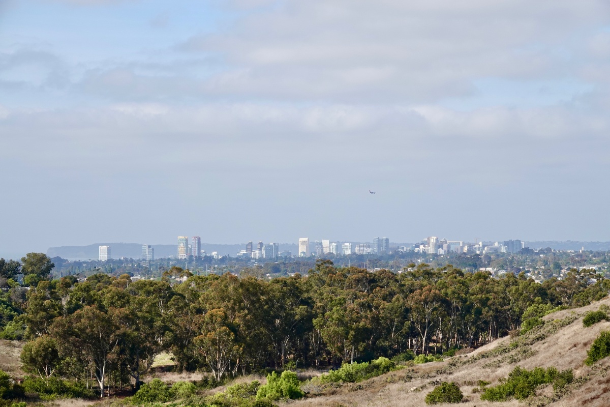 TimeOut - Wandering Around Chollas Heights, Part 1