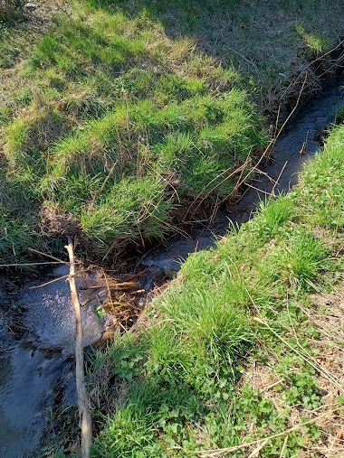 Photography - Nothing beats a short walk outside